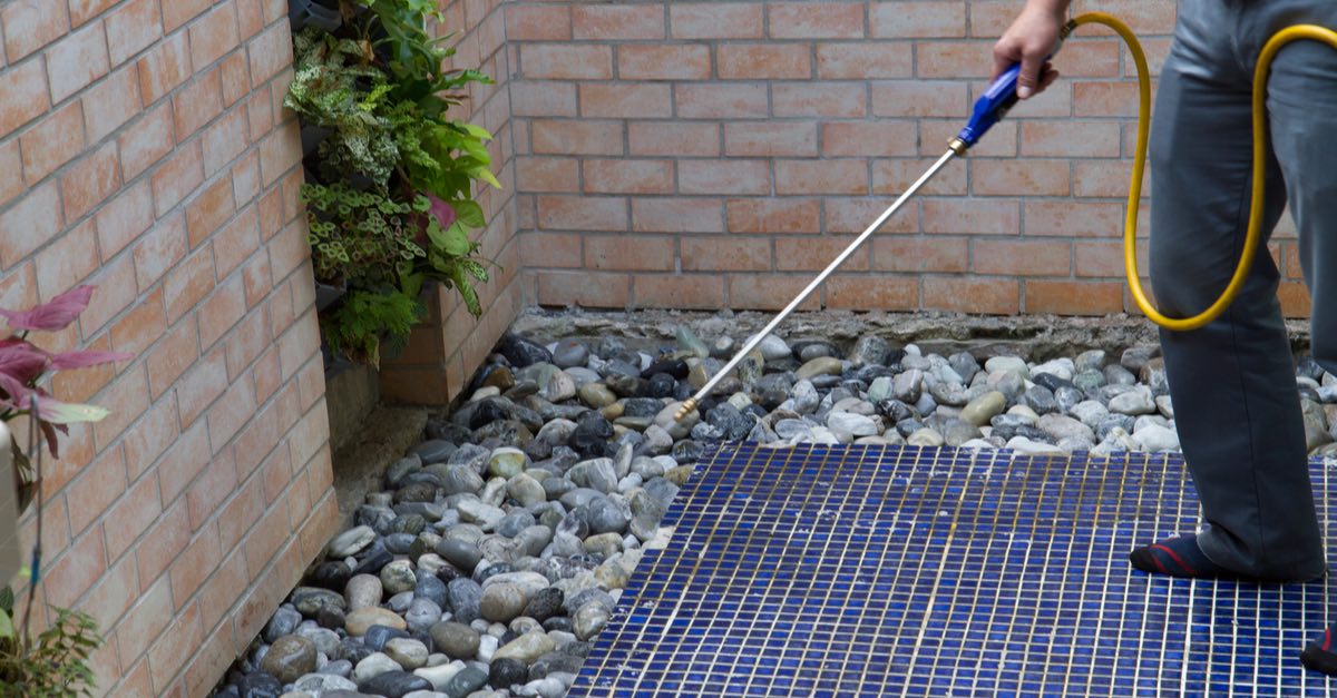 4 Foolproof Termite Protection Methods | TermiGold | Blog